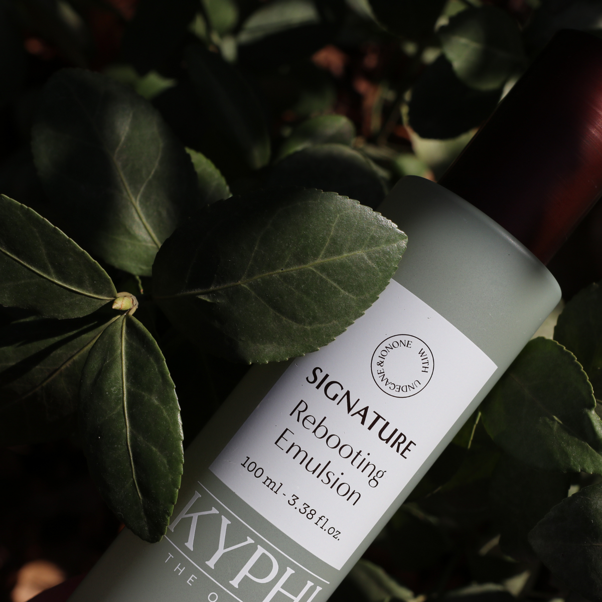 KYPHI The Origin Aroma Technology Signature Rebooting Emulsion – NordHive